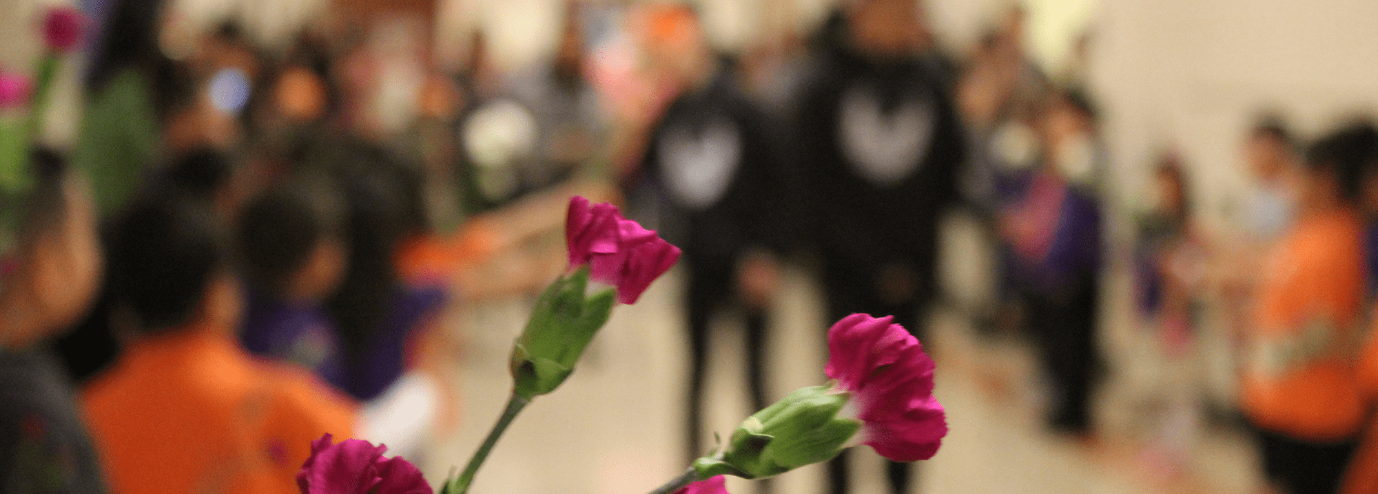 Home - Salida del Sol Academy